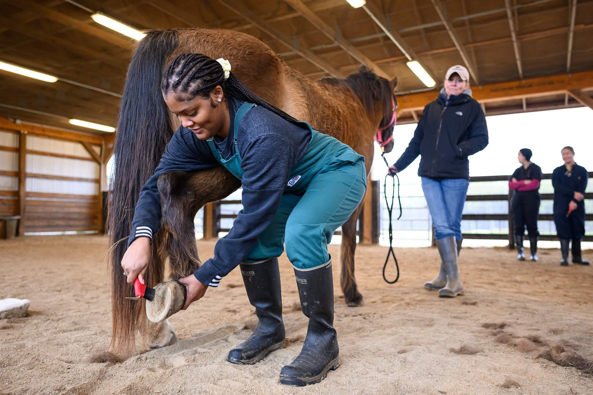 Quiz - VetMed Pathways